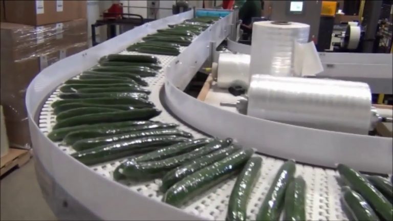 "Cucumber Perfection: Revolutionizing Handling with Fully Automated ...