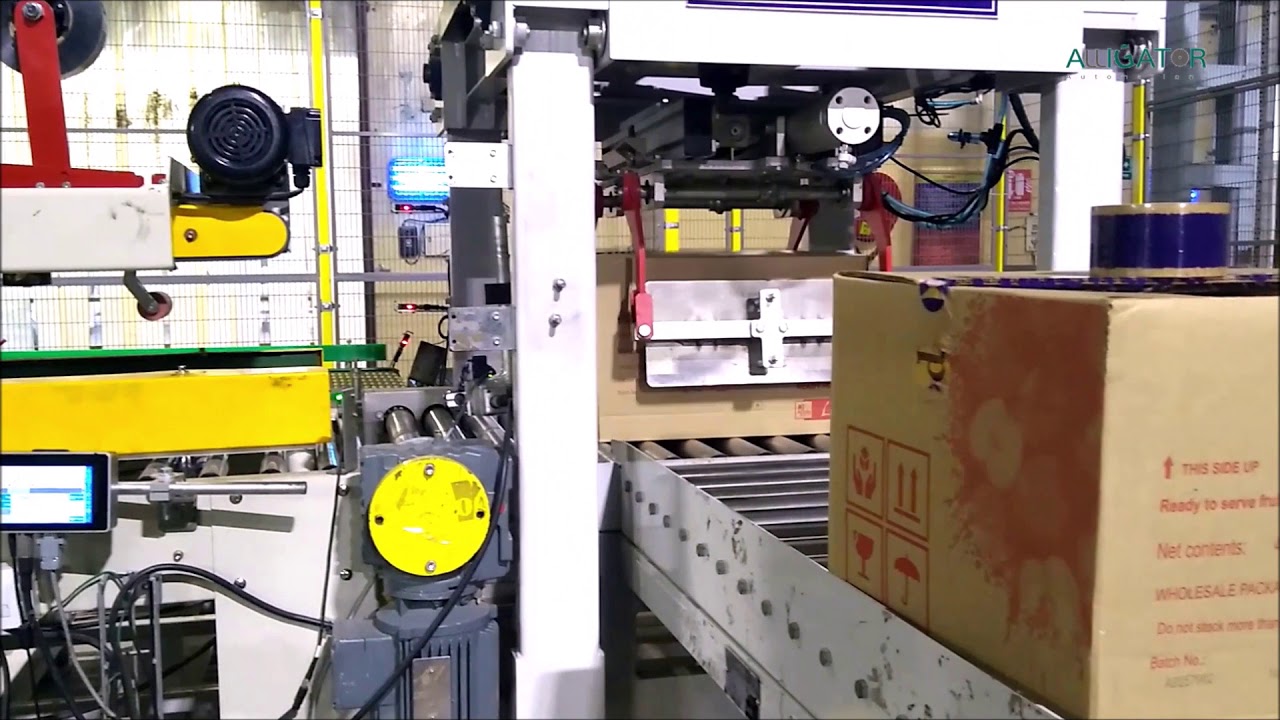 "Efficient Case Erector Automation: Streamlining Packaging System for ...