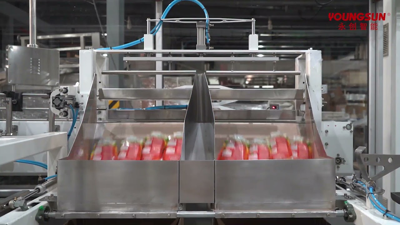 Innovative Standing Bag Cartoning Solution: Next-Gen Pouch Case Packer ...