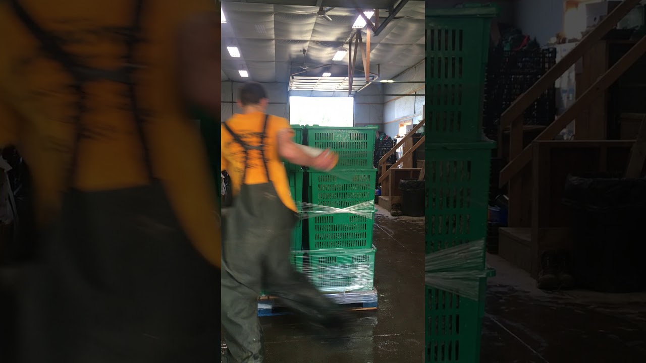 "Master the Art of Efficient Pallet Wrapping with Atlas Solutions ...