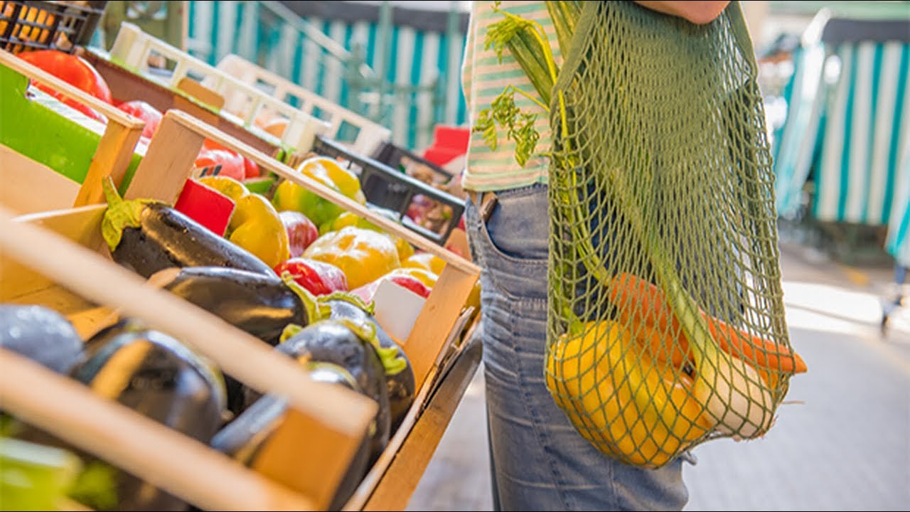 Revolutionary Approaches to Tackle Food Waste: Cutting-Edge Solutions ...