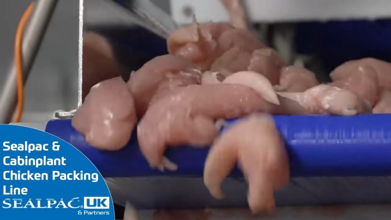 "Revolutionary Chicken Packing Line Transformation Maximizes Efficiency ...