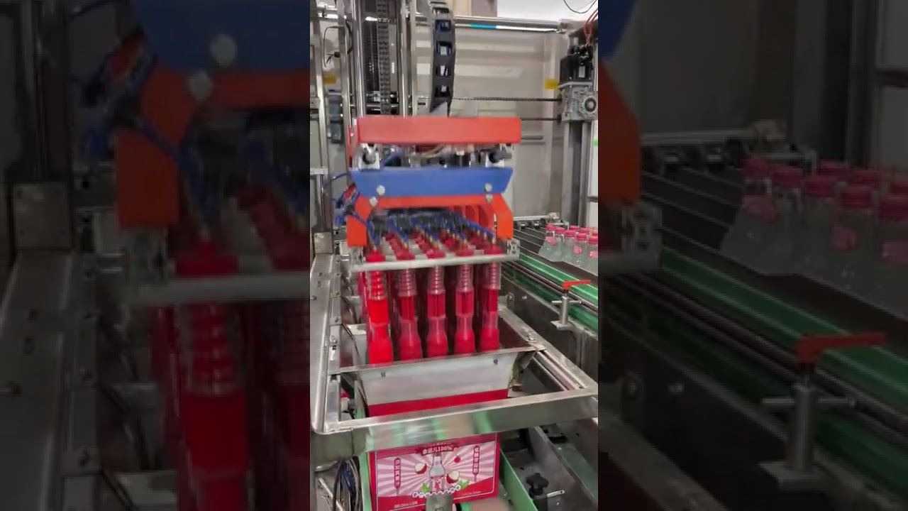 "Revolutionary Drink Bottle Case Packer: Unleashing Next-Gen Technology ...