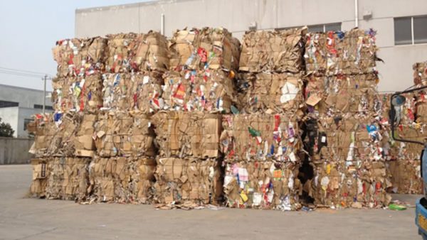 "Revolutionary Eco-Packaging Solution: Transforming Waste Paper into ...