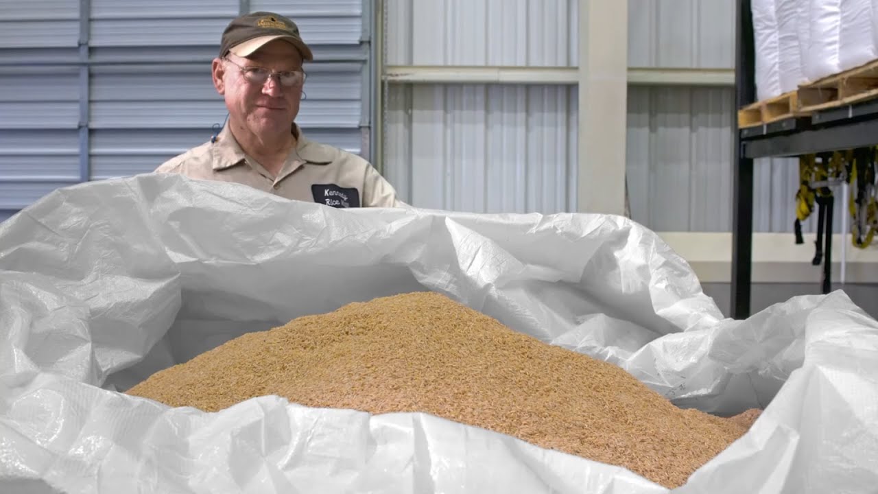 "Enhanced Bulk Bag Filling Speeds at Kennedy Rice Mill Revolutionize ...